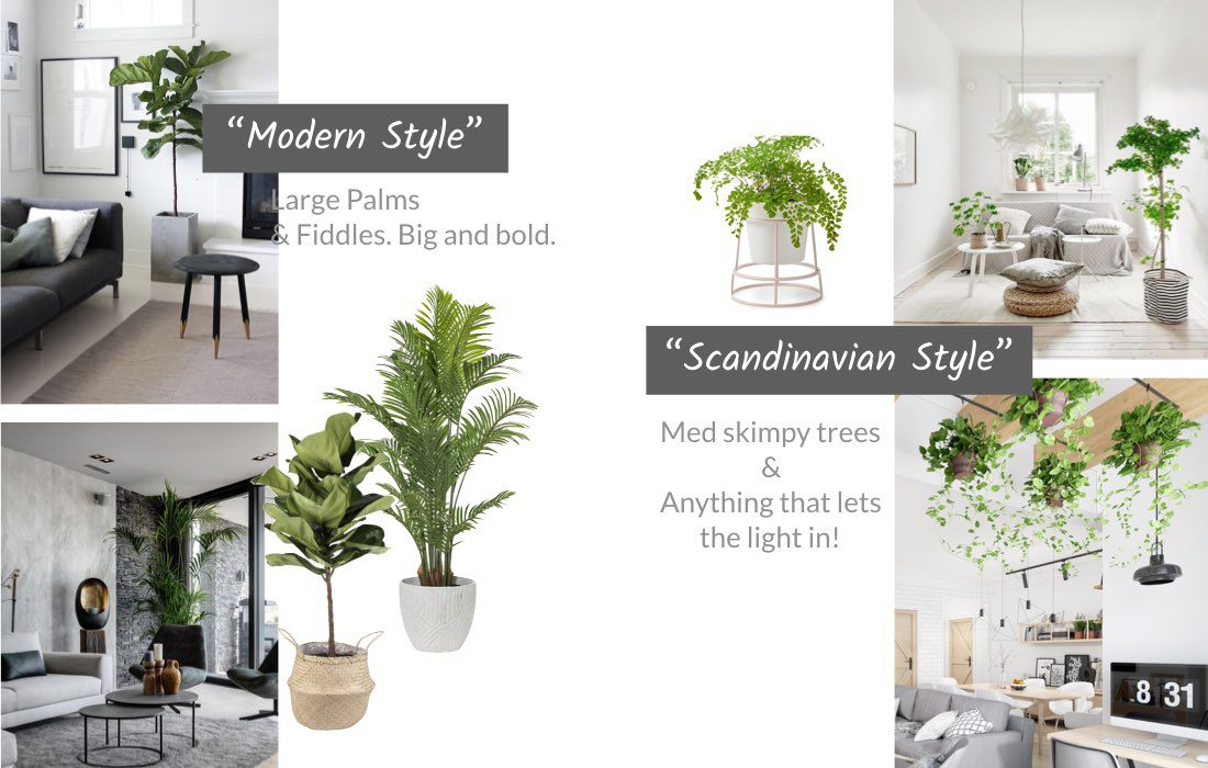 Styling with plants. How to decorate your home with plants.