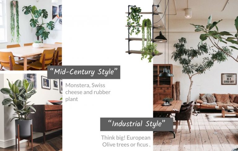 Styling with plants. How to decorate your home with plants.